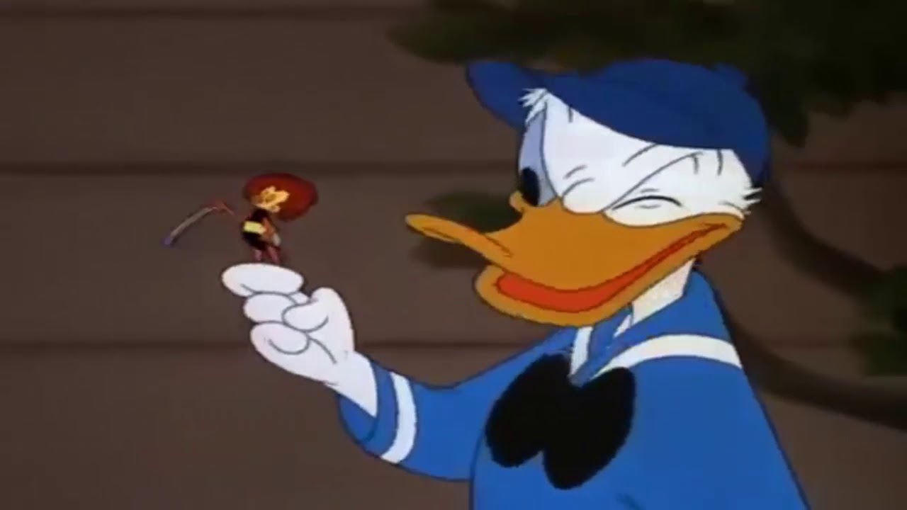 ᴴᴰ Donald Duck Chip And Dale Cartoons Full Episodes Cartoon Movies ...