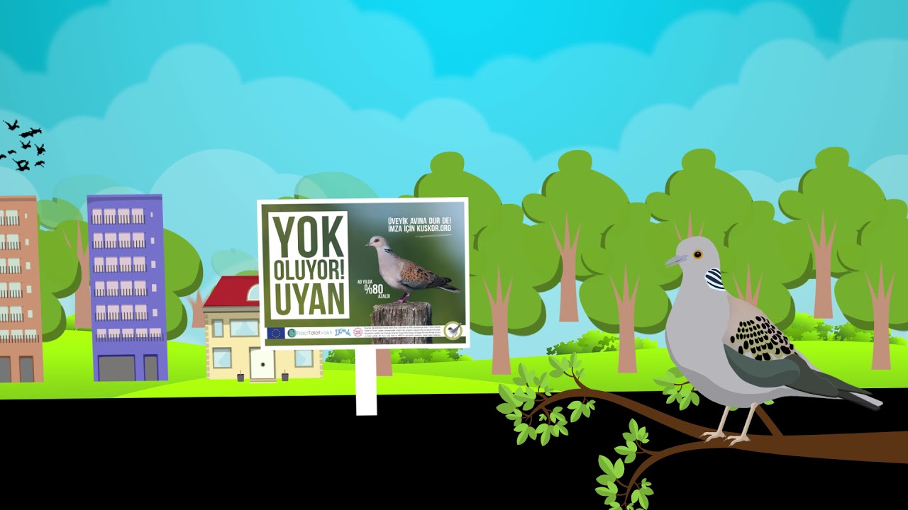 UVEYIK AVINA HAYIR KAMPANYA - YouTube