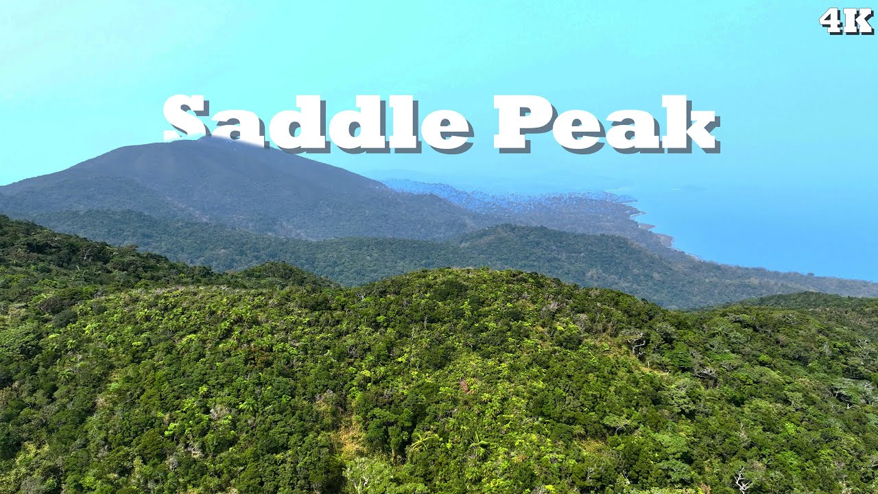 Saddle Peak NP - Highest Peak of Andaman and Nicobar - YouTube