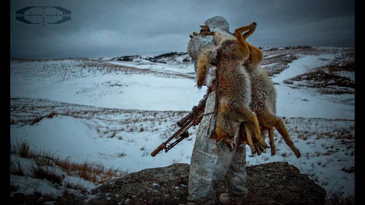 Predator Hunting: SUPPRESSED® "FATAL FUNNEL" - YouTube