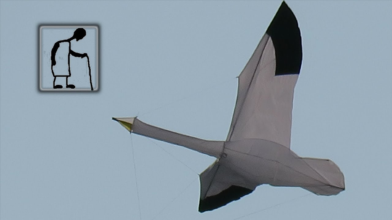 Interesting kites @ Portishead - YouTube