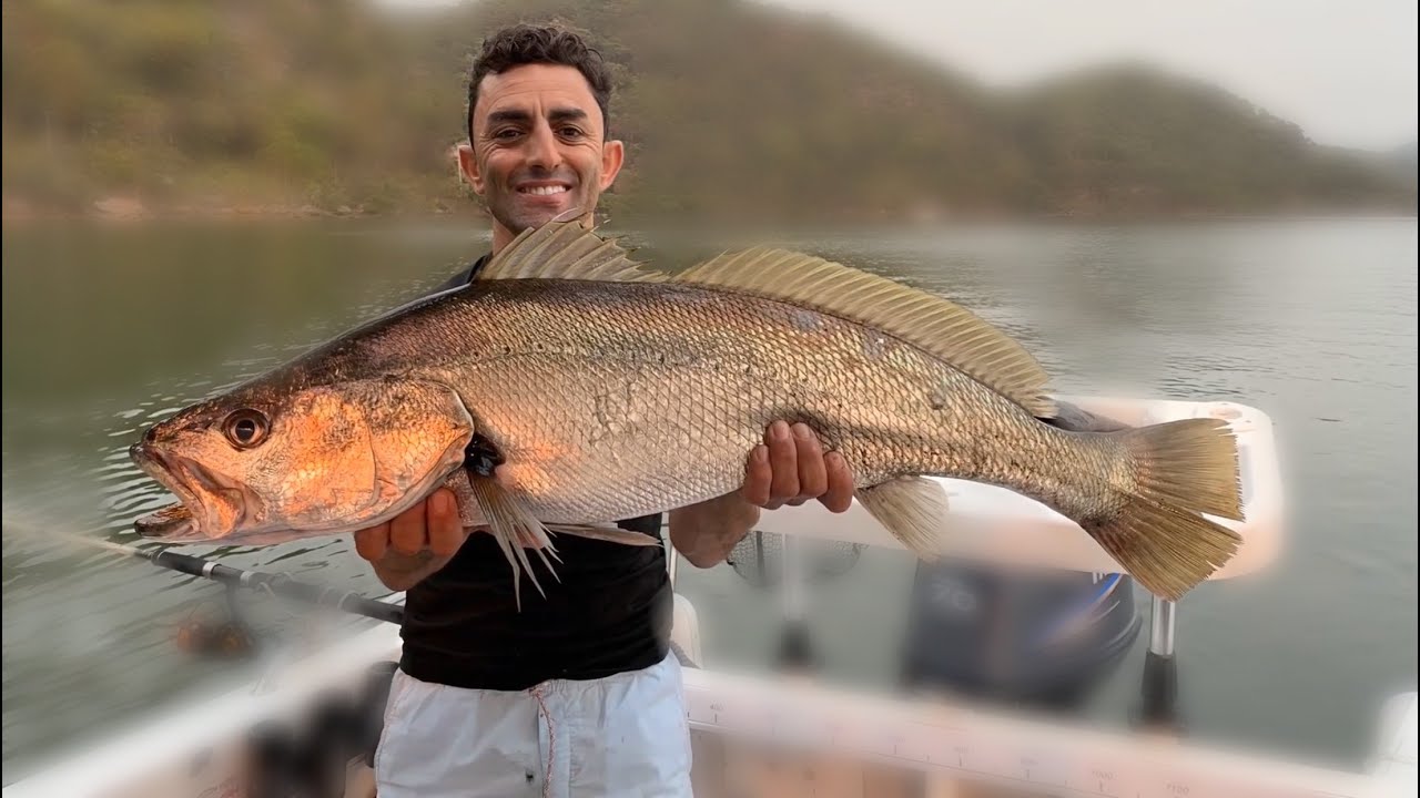 “BIG JEWFISH DOUBLES” #RIDETHATFISH - YouTube