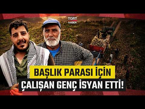 Şanlıurfalı Ailenin Dramı: Başlık Parası Yüzünden 3 Oğul Evlenemedi! - TGRT Haber