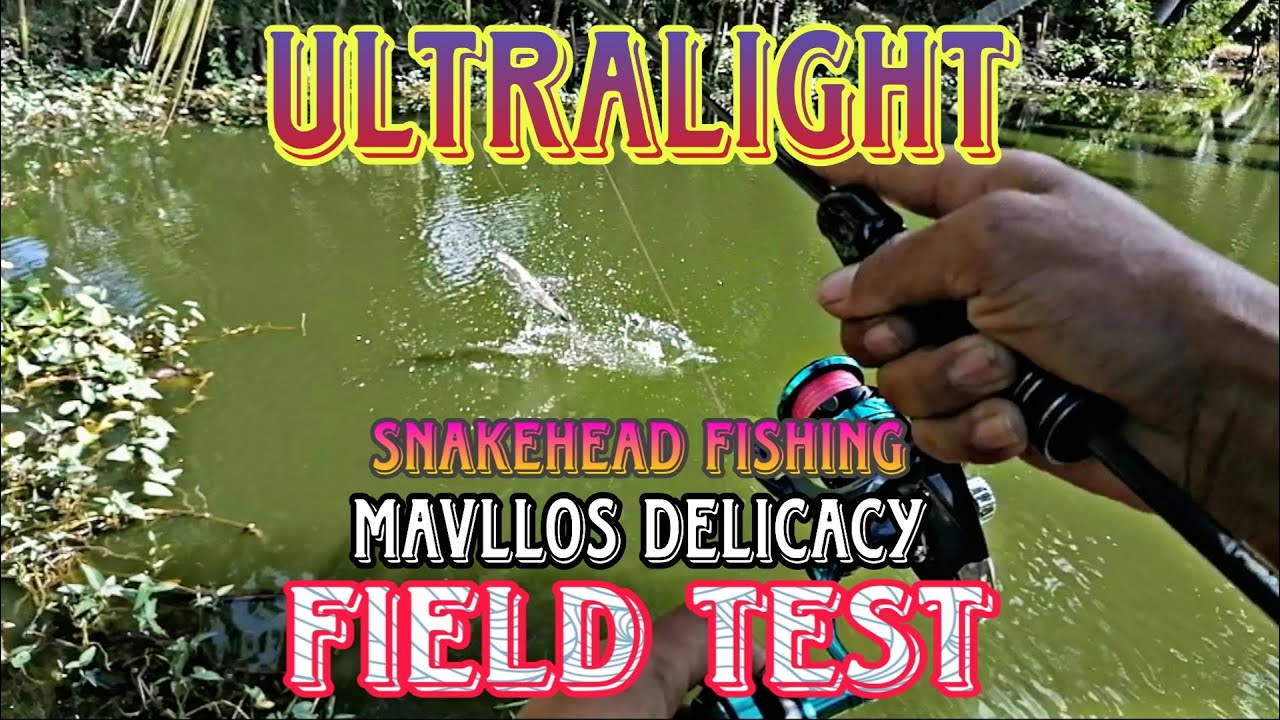 FIELD TEST! Mavllos Delicacy | ultralight snakehead fishing # ...