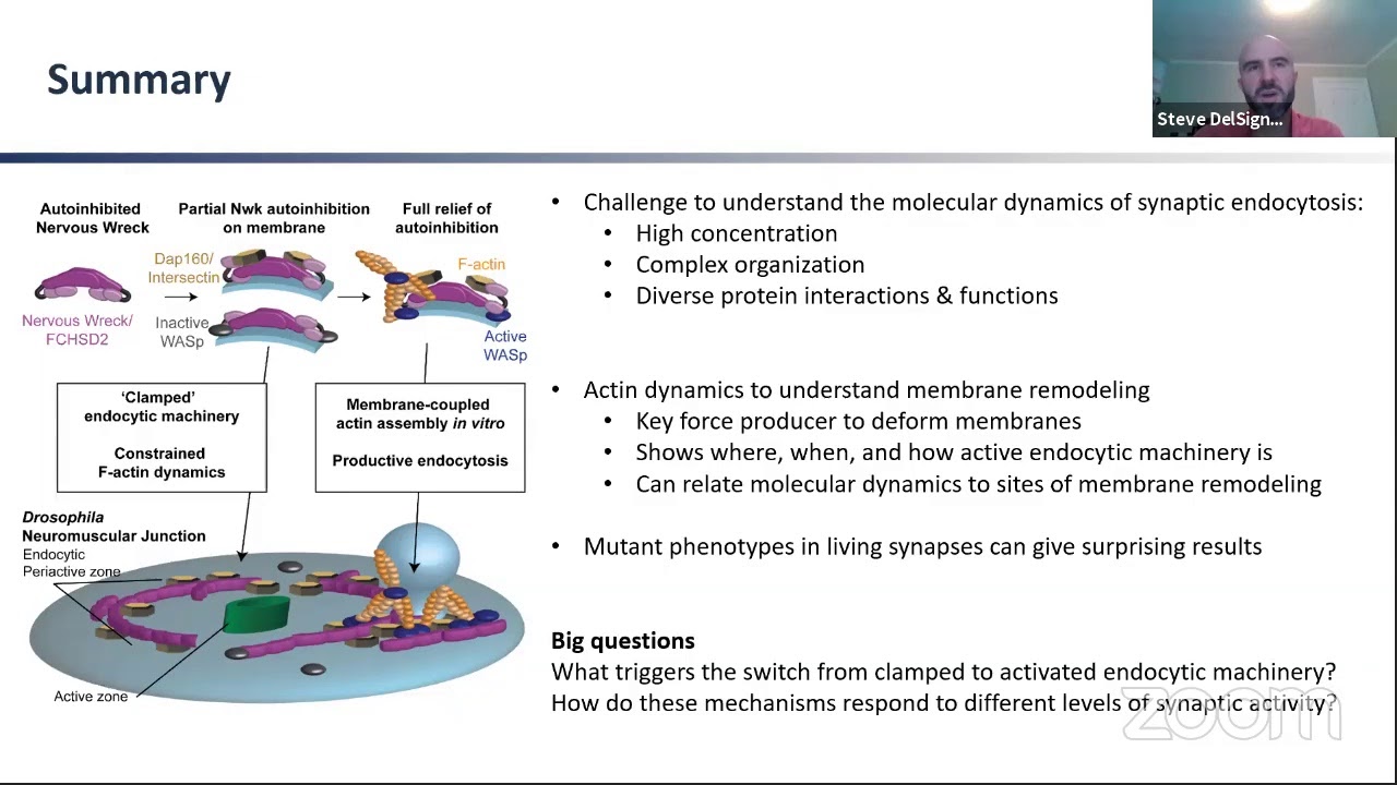 Physical Biology of the Cell course webinars - YouTube