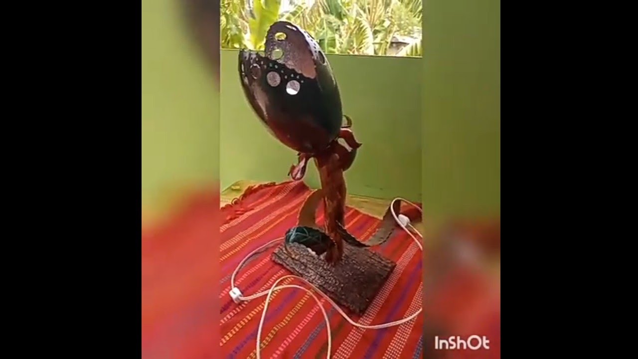 lámpara de morro planta carnivora - YouTube