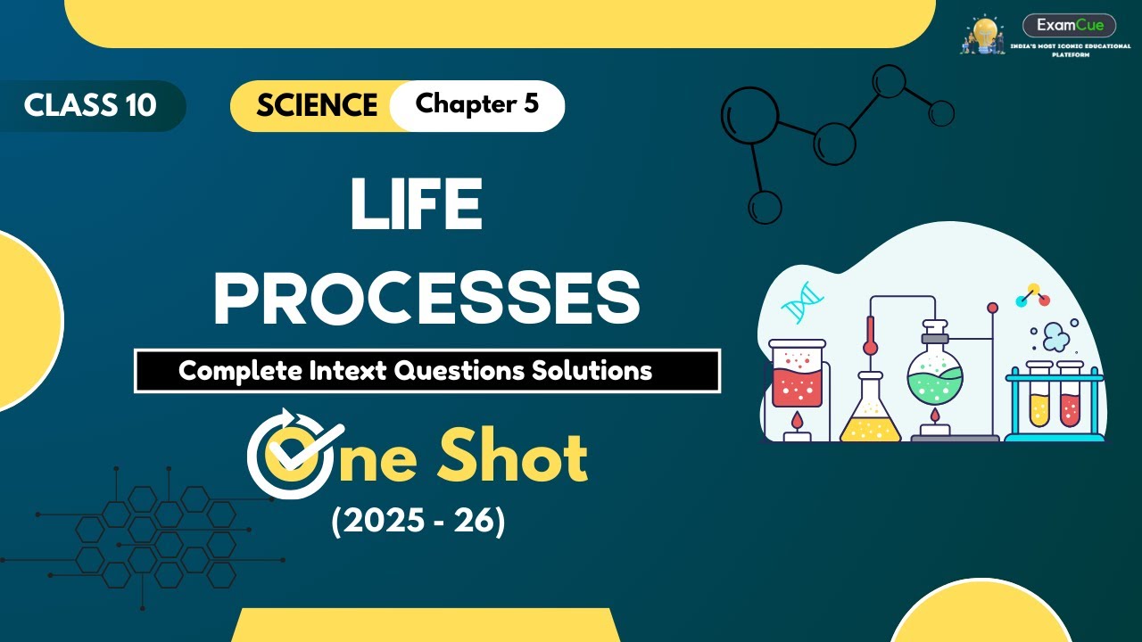 Life Processes Complete Intext Questions in One Shot | Class 10 Science ...