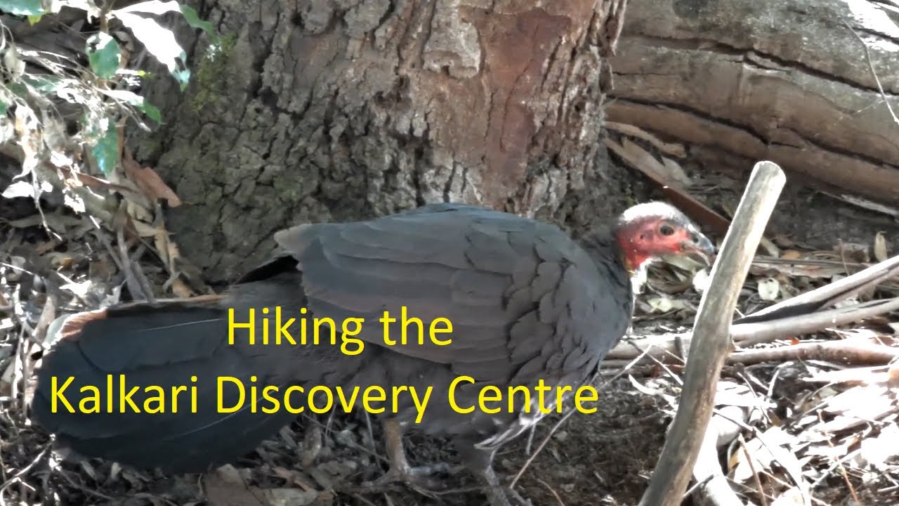 Enjoy a beautiful, relaxing and peaceful walking tour of Kalkari ...