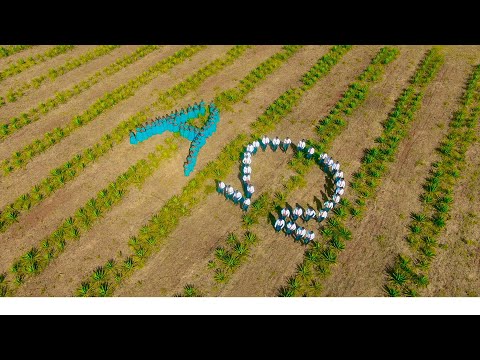 ALFA NA OMEGA-Kwaya ya Mt.Don Bosco SUA-Mazimbu Campus Morogoro (Official Video-HD)_tp