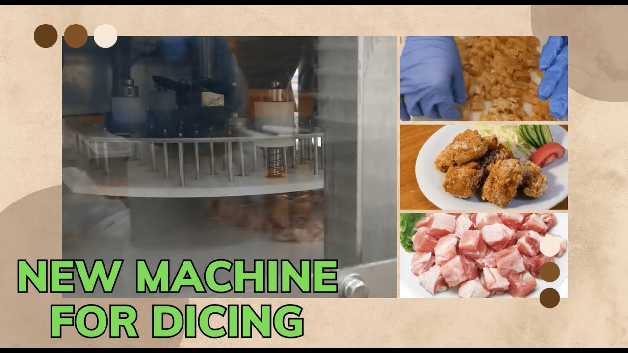FRESH MEAT SLICER_ROTATING MACHINE FOR DICING (RTM Type) - YouTube