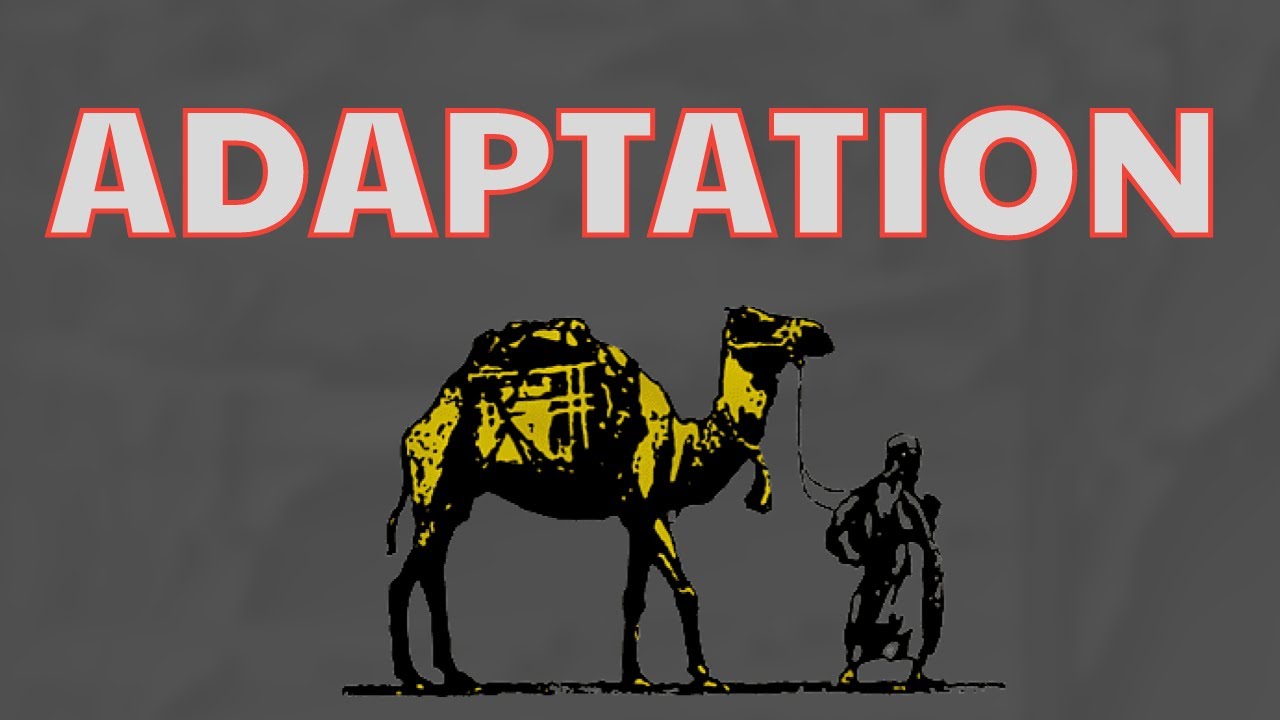 What Does ADAPTATION Means || Meanings And Definitions With Example in ...