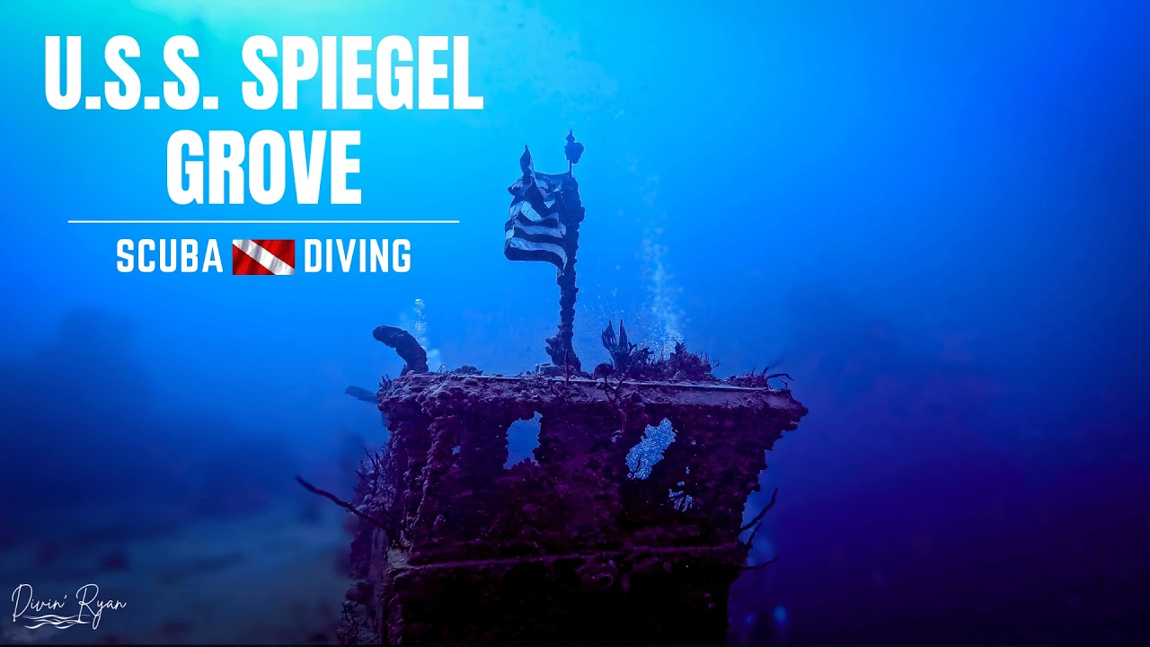 SCUBA Diving SHIPWRECKS in KEY LARGO - Sharks on the U.S.S. Spiegel ...