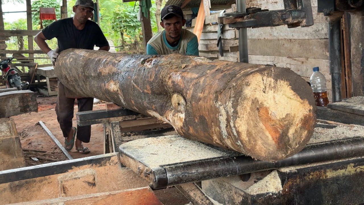 Precision House Wood Cutting Process with Sawmill - YouTube