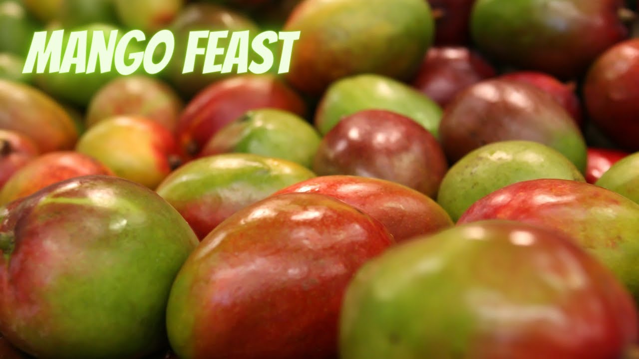 Mango feast at home - YouTube