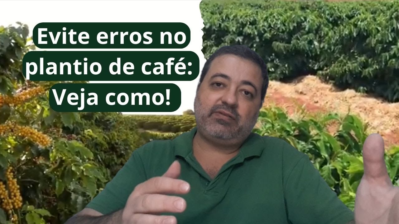 Como Plantar Café e Não Errar: Escolha a Melhor Opção! - YouTube