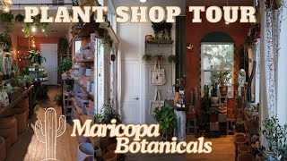 Plant Shop Tour ARIZONA | Rare cacti, unique pottery and popular houseplants 🌵