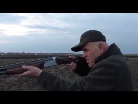 Hunting For Hares Hungary November 2013 - Part 2