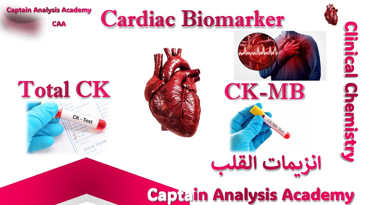 Cardiac Biomarker |Creatine Kinase (Total CK - CK-MB) انزيمات القلب ...