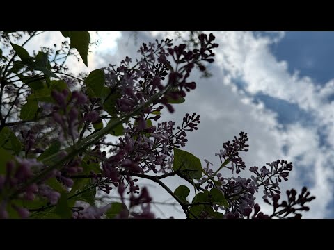 Bir şey bitti diye üzülme, bak  yeni gelenlere…