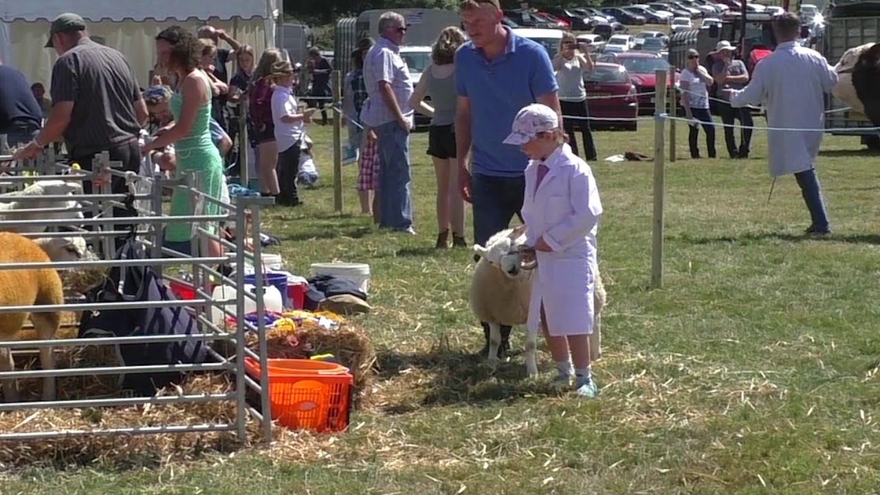 The Gower Show 2018 Livestock - YouTube