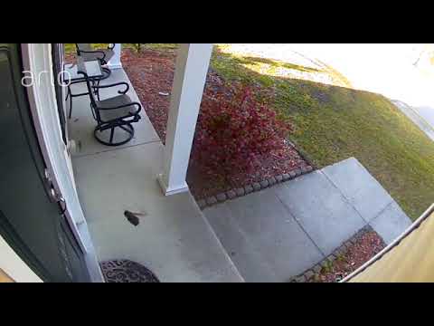 buzz me in - YouTube