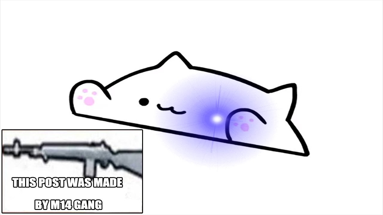 BONGO CAT IS SANS [CONFIRMED] - YouTube