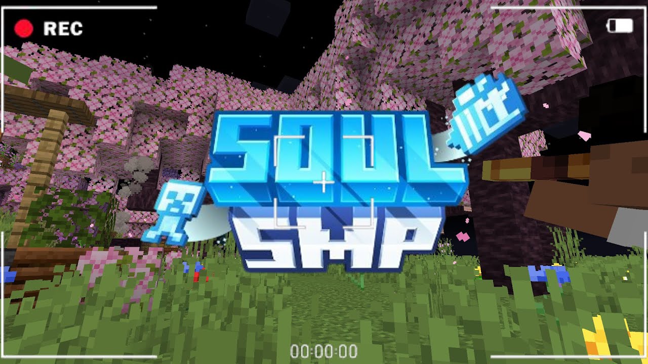 Soul SMP - Content Creator SMP (Applications Open) - YouTube