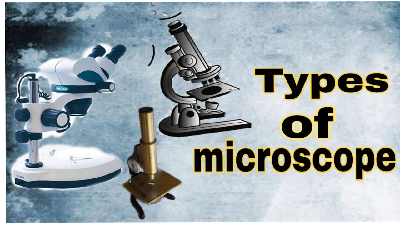 Types of microscope (7 types) and magnification HD video - YouTube