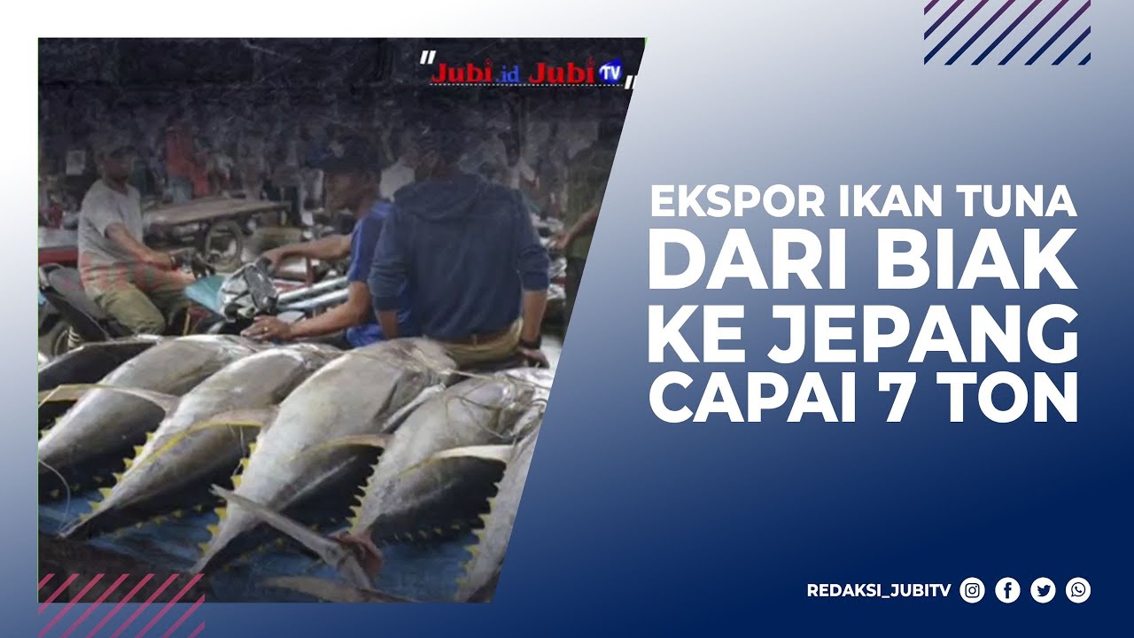 Ekspor Ikan Tuna dari Biak ke Jepang Capai 7 Ton - YouTube