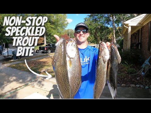 Non-Stop Speckled Trout Bite In Early Fall (Limiting Out Within Minutes ...