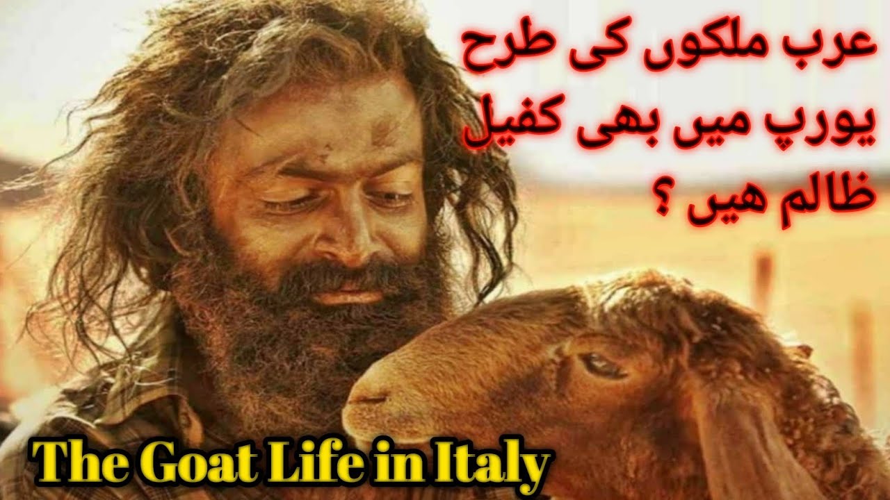 Kya Europe me Kafeel System ha Suadi Arab Jaisa? | The Goat Life in ...