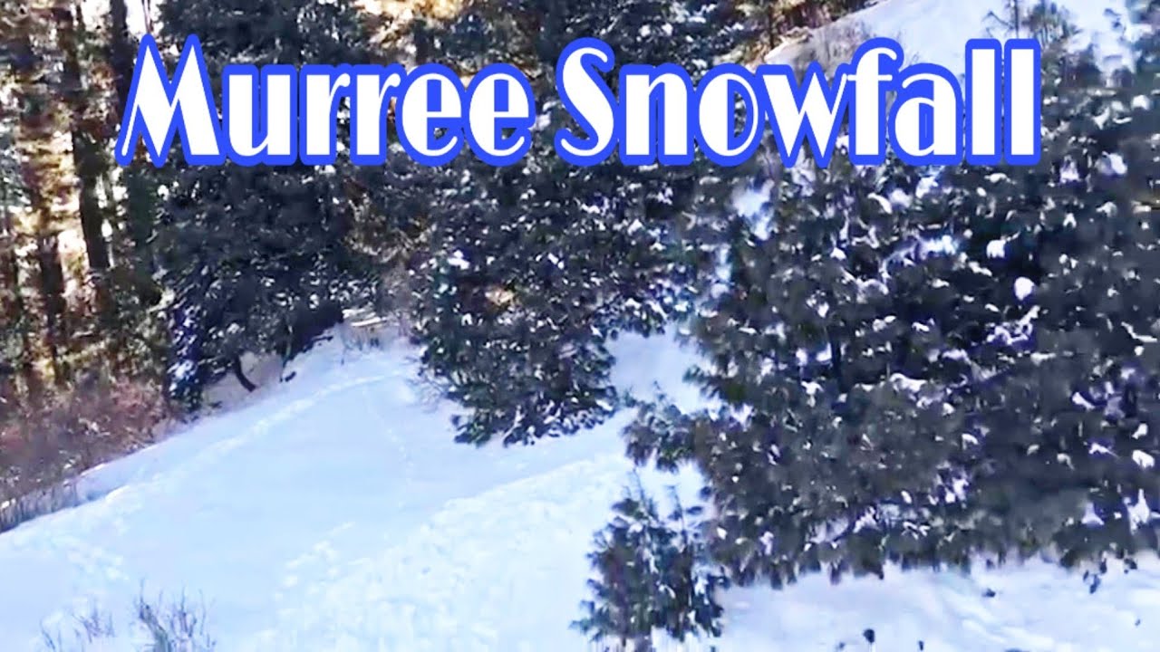 Murree Snowfall 2019 - Snowfall in Murree Pakistan - YouTube