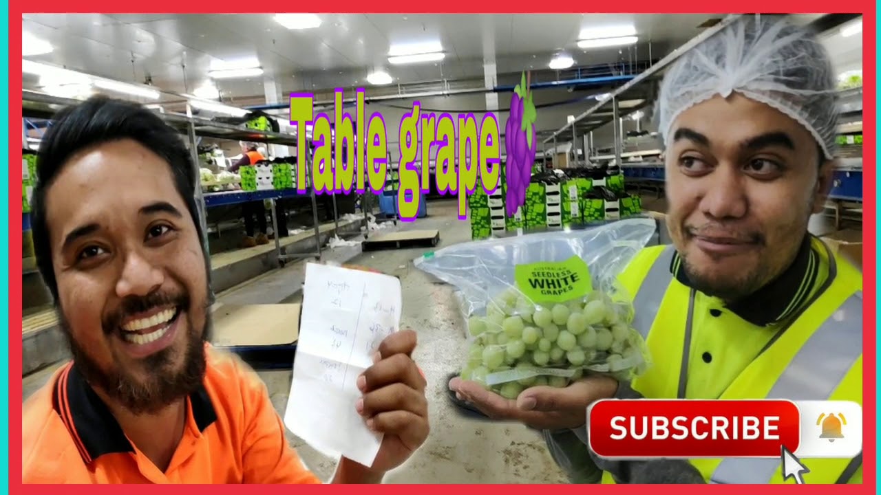 Packing Table grape - YouTube