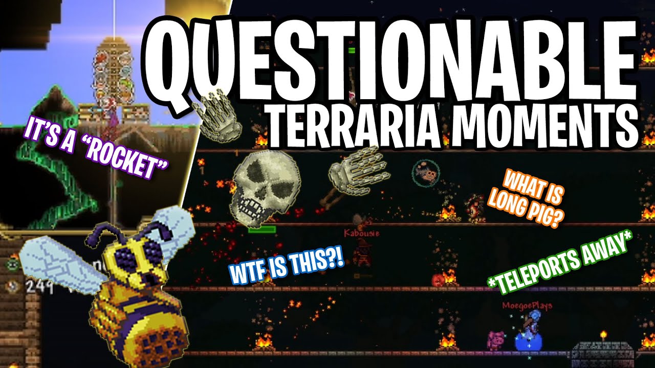 Questionable Terraria Moments | LAG Funny Moments - YouTube