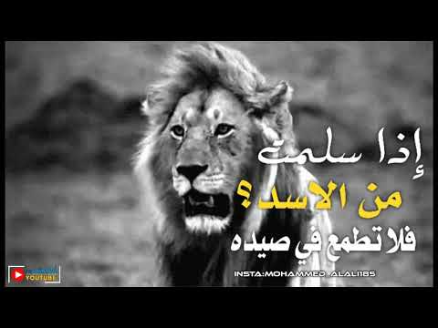 أجمل✨حلات وتساب💯💪