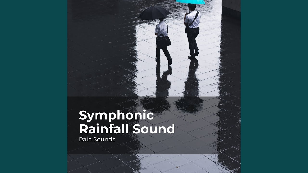 Natural Rain Rhythm - YouTube