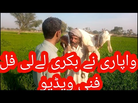 saraiki, funny, drama, nizami, saraiki, drama, funny, clips, new, saraiki, mazahiya, saraiki, drama,