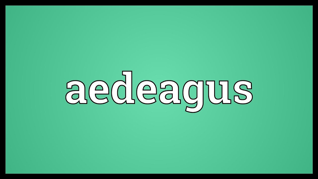Aedeagus Meaning - YouTube