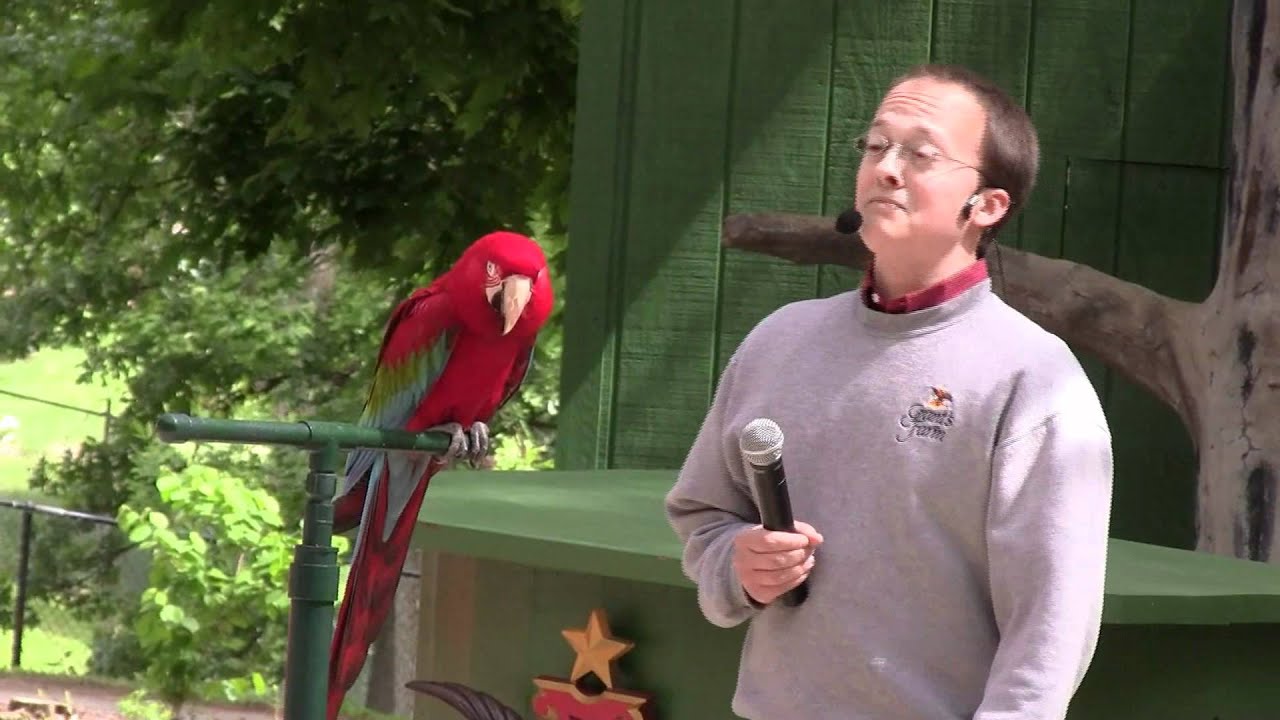 Talking Macaw at Grant's Farm - YouTube