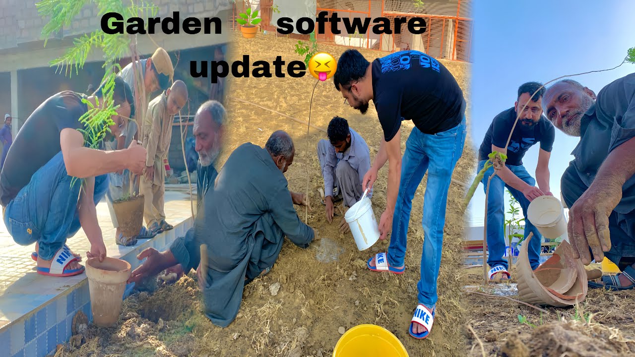 Mini Zoo Garden 🪴 Software Update 🤪🤭#azaanminizoo - YouTube