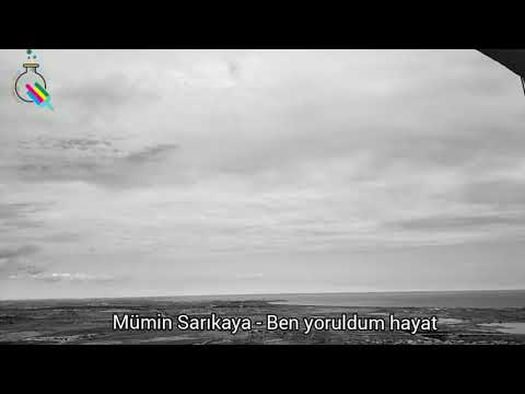 Elvin Paşa - Almafobiya səs : Talib Zadeh