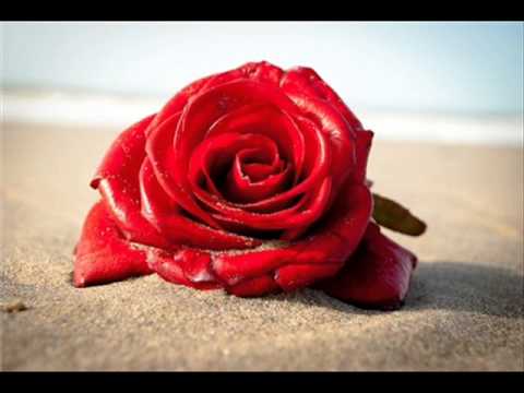 Lino Gamba Rose from the Sea - YouTube