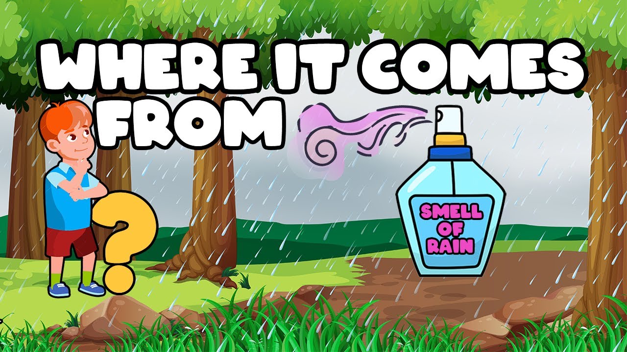 Smell of Rain | Petrichor | How it's produced? | Scientific Explanation ...