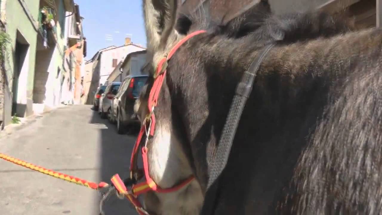 La storia del ciuco Ungheria detto zodiac - YouTube