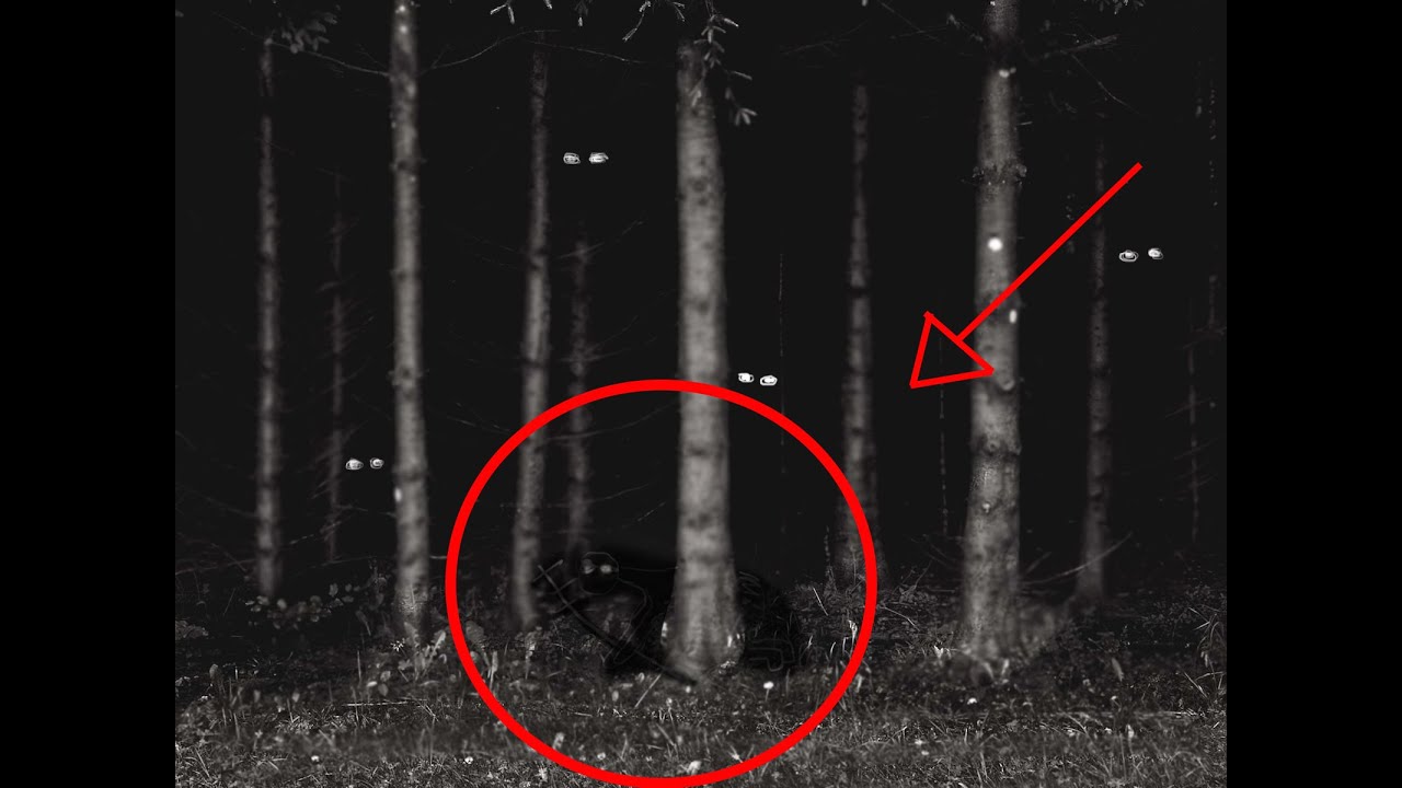 SHOCKING NEWS! Large Beast Found In London! - YouTube