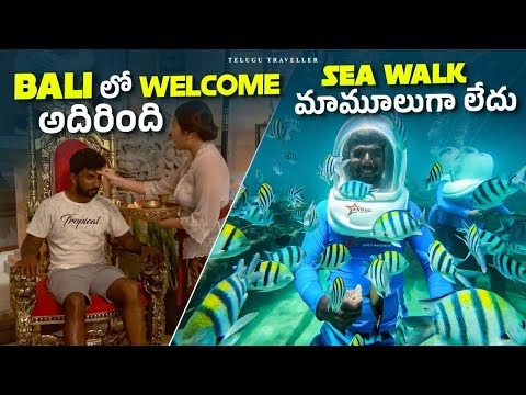 Seawalk: The Best Way To See Bali's Underwater World | Ubud | Bali ...