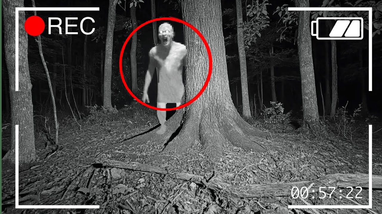 6 Most DISTURBING Forest Encounters Ever Caught On Camera - YouTube