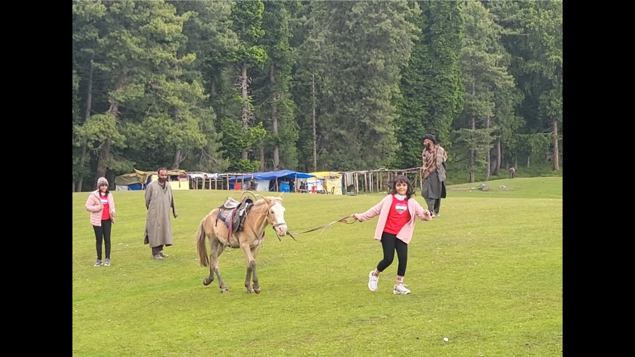 Kashmir | Part 5 | waterfall | Pahalgam Valley | The Paradise on Earth ...