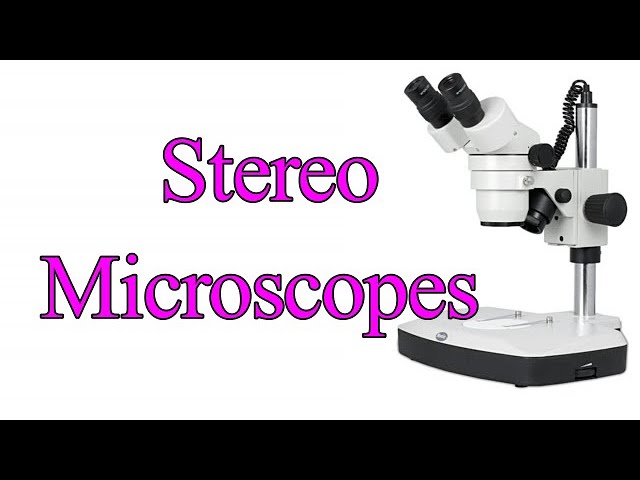 Stereoscopic Microscope Diagram