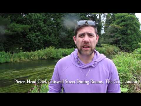 Cured river Test trout, miso crème fraiche, pickled baby cucumber, lemon gel -  Chalk Stream